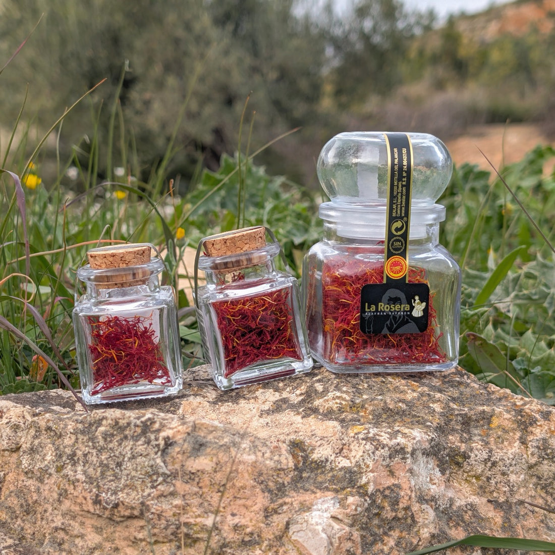 Azafrán DOP La Mancha – Europa Agricult Product