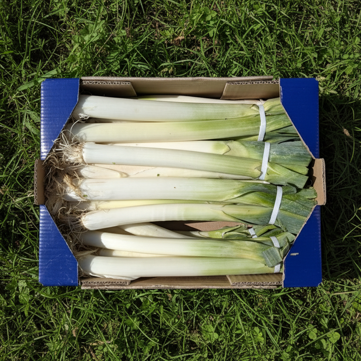 Puerro de Nuestros Agricultores – Europa Agricult Product